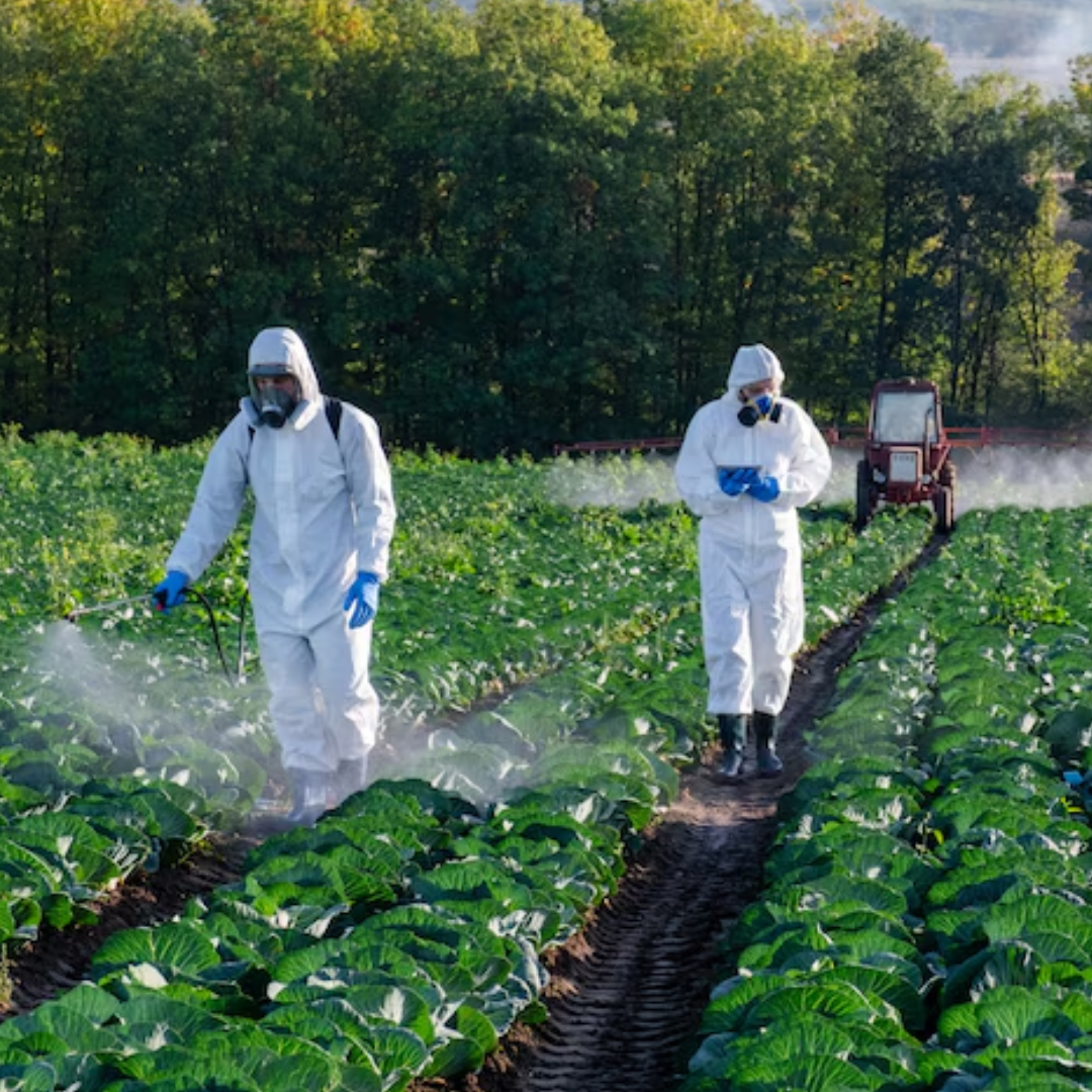 Household Pest control – AgriVruddhi